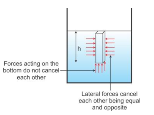 Upthrust in Fluids, Archimedes' Principle and Floatation Chapter-5 9th ...