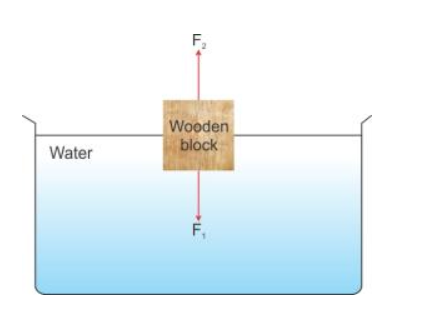 Upthrust in Fluids, Archimedes' Principle and Floatation Exe-5A Long ...