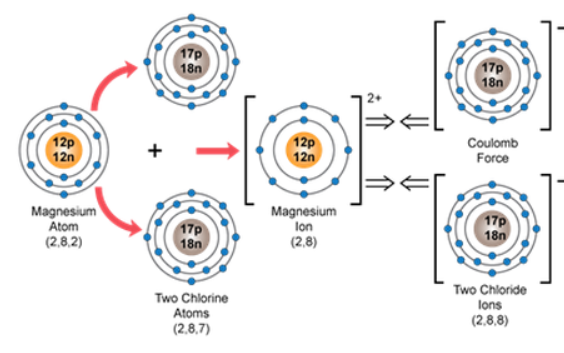 Concise Atomic Structure Chemical Bonding Class-9 Selina ICSE Solutions ...