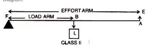 Machines ICSE Class-10 Concise Selina Physics Solutions - ICSEHELP