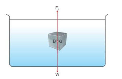 Upthrust in Fluids, Archimedes' Principle and Floatation Exe-5C Long ...