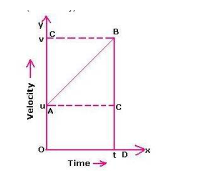 Exercise-2B Motion in One Dimension Concise ICSE Class-9 Selina - ICSEHELP