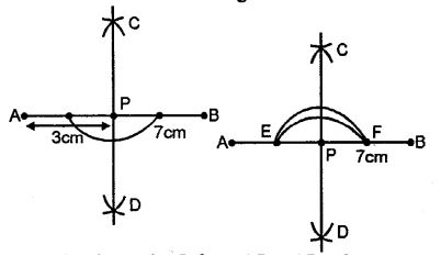 Properties of Angles and Lines ICSE Class-6th Concise Selina Maths ...