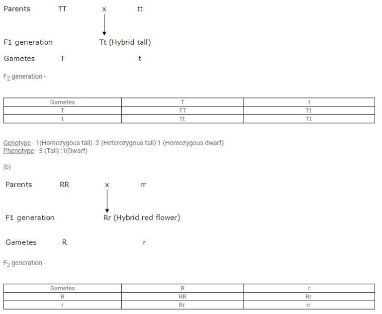 Genetics Biology ICSE Class-10th Concise Selina Solutions - ICSEHELP
