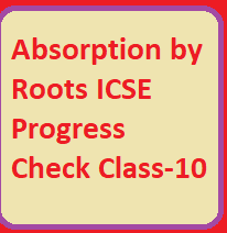 Absorption by Roots ICSE Progress Check Class-10 Concise Selina Biology Solutions - ICSEHELP