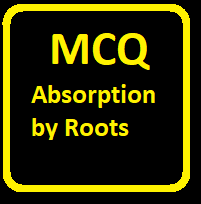 MCQ Absorption by Roots for ICSE Class-10 Biology - ICSEHELP