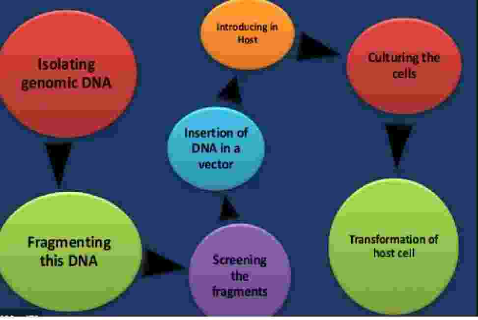 MCQs Biotechnology Principles And Process For ISC Class 12 Biology 
