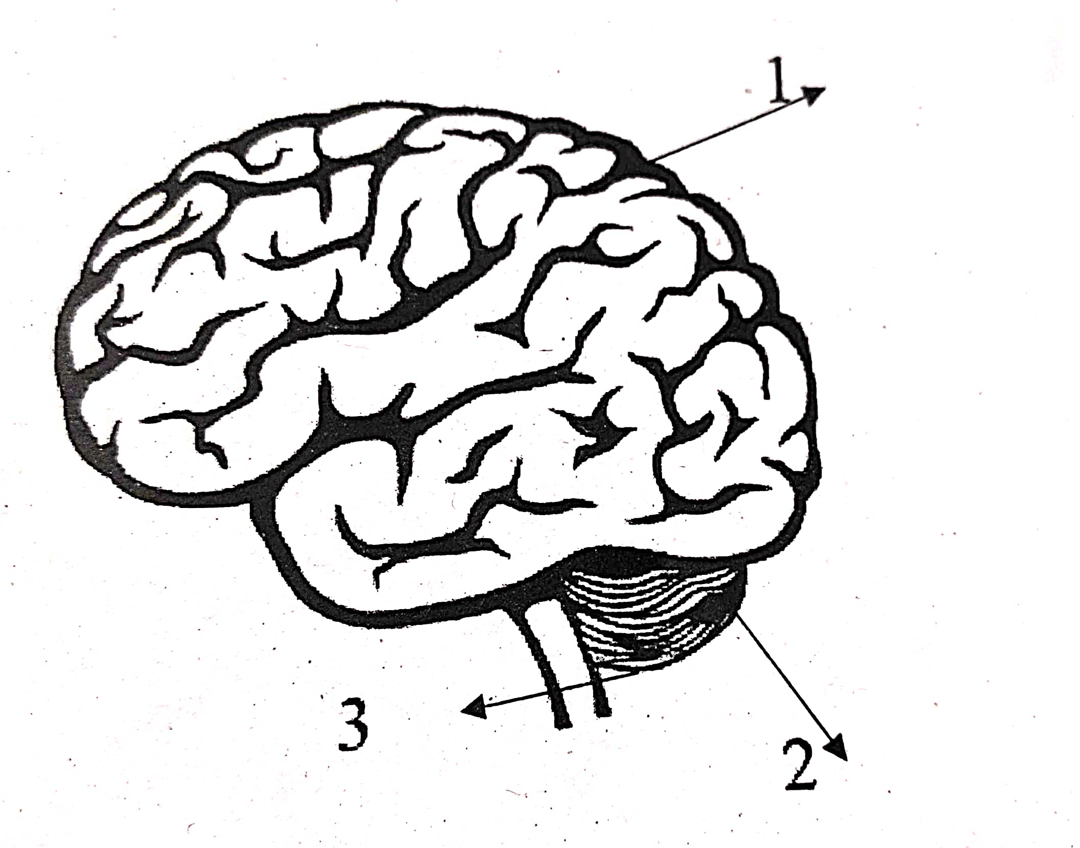 ICSE Biology Sem 2 Answer Key 2022 Solved Board Question Paper Guess