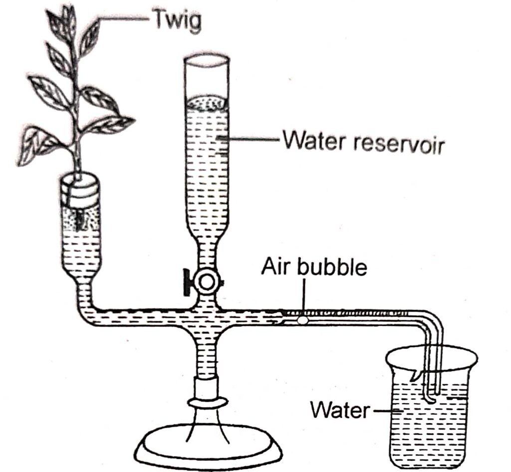 Transpiration Class-10 Long and Structured Goyal Brothers ICSE Biology ...
