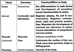 Endocrine System Class-10 Long and Structured Goyal Brothers ICSE ...