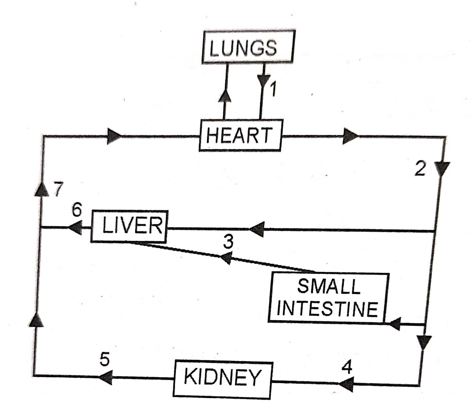 Circulatory System Class-10 Long and Structured Goyal Brothers ICSE ...