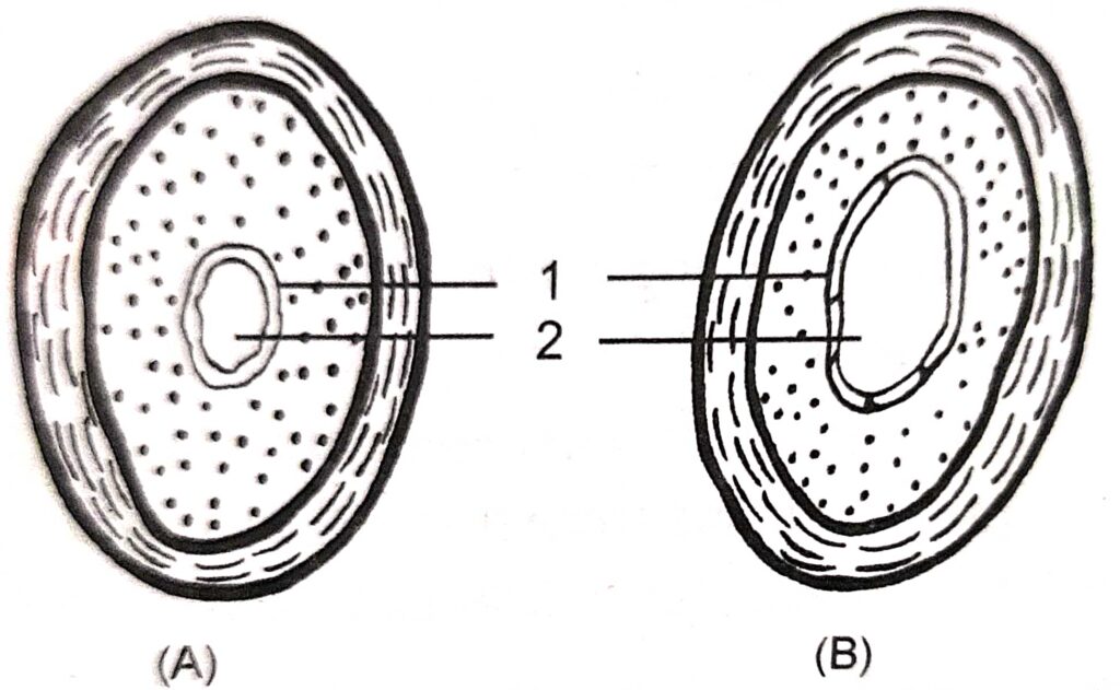 Circulatory System Class-10 Long and Structured Goyal Brothers ICSE ...