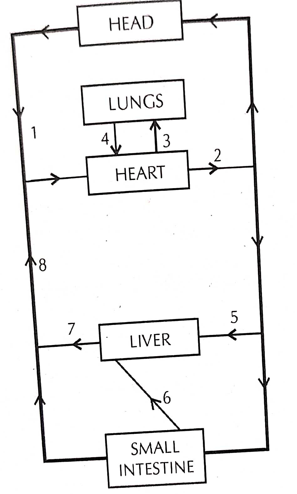 Circulatory System Class-10 Long and Structured Goyal Brothers ICSE ...