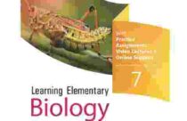 Rs Aggarwal Icse Class 7 Maths Goyal Brother Prakashan Icsehelp