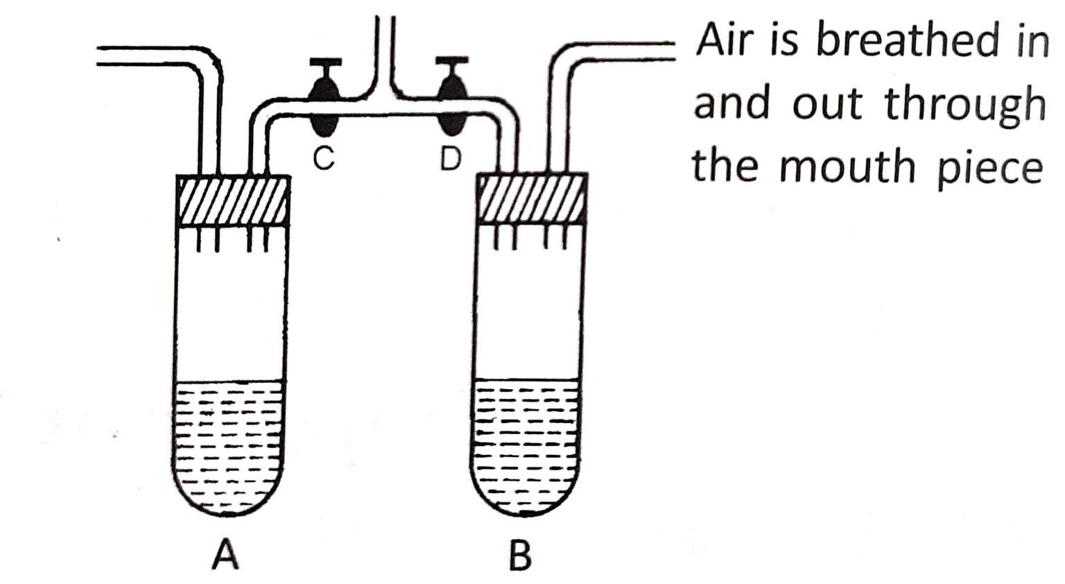 Respiratory System Goyal Brother Solutions ICSE Class-9 Ch-16 - ICSEHELP