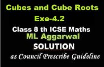 Computer Application Specimen Paper 2023 Sec-A Solved ICSE Class 10 ...