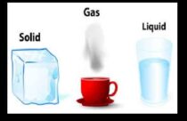 ICSE Class-8 Biology Goyal Brothers Prakashan Solution. - ICSEHELP