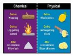 Physical And Chemical Changes Class 8th Goyal Brothers ICSE Chemistry ...