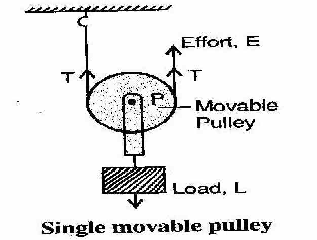 Type Of Simple Machines Study Questions Class-6th Goyal Brothers ...