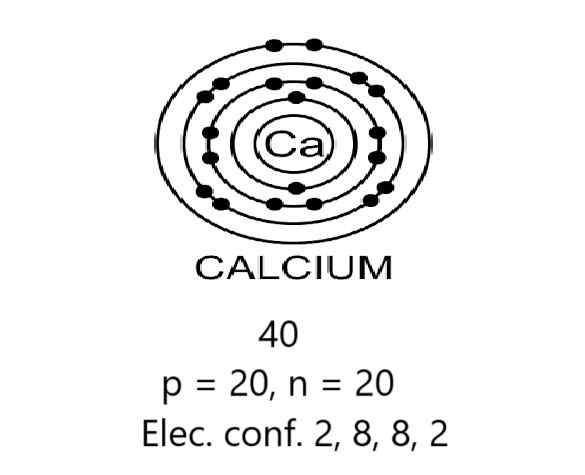 Geometric Representation of Atomic Structure Class-8th Goyal Brothers ...