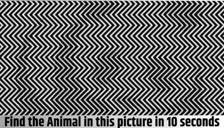 IQ Test Optical Illusion: People with higher IQ can see the animal ...