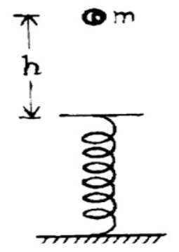 Energy and Its Conservation Numerical Class 11 Nootan ISC Physics ...