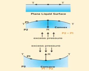 Surface Tension: Excess of Pressure Numericals Class-11 Nootan ISC ...