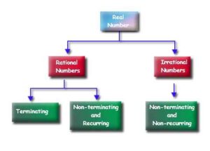 Rational and Irrational Numbers Class 9 RS Aggarwal Exe-1A Goyal ...