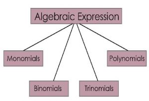 Fundamental Concepts of Algebra Class 6 RS Aggarwal Exe-12B Goyal ...