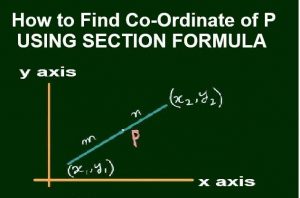 Section and Mid-Point Formulae Class 10 RS Aggarwal Exe-13 Goyal ...