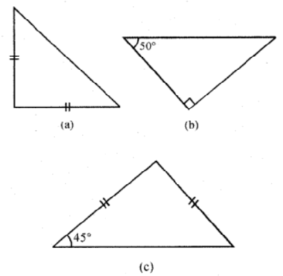 Similar Triangles Class 10 OP Malhotra Exe-12B ICSE Maths Solutions ...