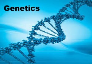 Genetics Class 10 Concise Structured Type Answer ICSE Biology Selina ...