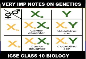 Genetics Notes for ICSE Class 10 Biology Ch-3 - ICSEHELP