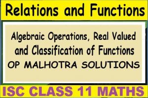 Relations and Functions Class 11 OP Malhotra Exe-2E ISC Maths Solutions ...