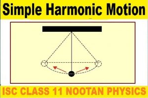 Simple Pendulum Numerical of SHM Class-11 Nootan ISC Physics - ICSEHELP