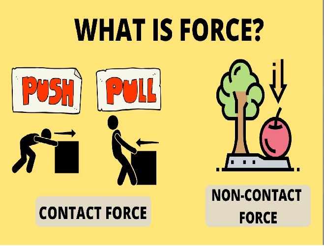 Laws of Motion Class-9 Exe-3A MCQs Concise Physics ICSE Selina ...