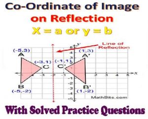 Reflection Exe-12B Class-10 Concise Maths Solution Ch-12 - ICSEHELP