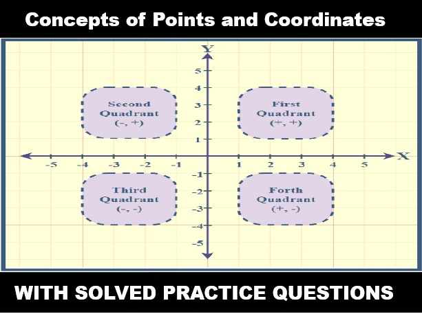 Basic Concepts of Points and their Coordinates Class 11 OP Malhotra Exe ...