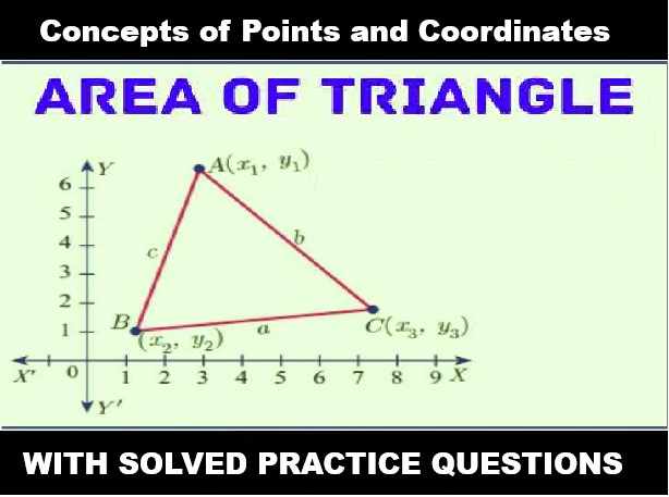 Basic Concepts of Points and their Coordinates Class 11 OP Malhotra Exe ...