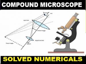 Compound Microscope Numerical Class-12 Nootan ISC Physics Solution ...