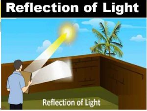 Reflection of Light Class-9 Exe-7A MCQs Concise Physics ICSE Selina ...