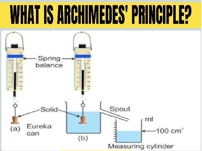Upthrust in Fluids Archimedes Principle and Floatation Class-9 Exe-5A ...