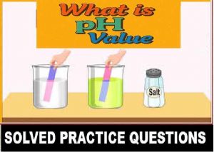 Acids Bases and Salts Exe-3(A) Concise Class-10 ICSE Chemistry Selina ...