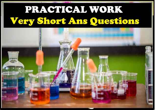 A Work of Artifice Summary: Treasure Chest English for ICSE Class 9 - ICSEHELP