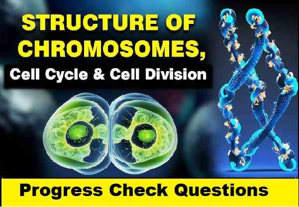 Progress Check Questions on Structure of Chromosome Cell Cycle and ...