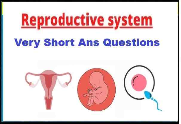 Reproductive System Class 10 Concise Very Short Answer ICSE Biology ...