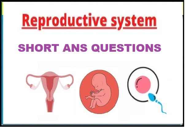 Quadratic Equations Word Problems on Distance, Speed and Time Class 10 ...