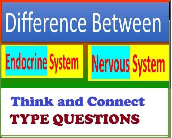 Think and Connect Questions on Endocrine System Class 10 Concise ICSE ...