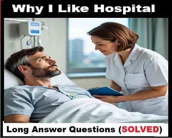 The Pedestrian Context Questions: Treasure Chest Workbook Solutions for ...