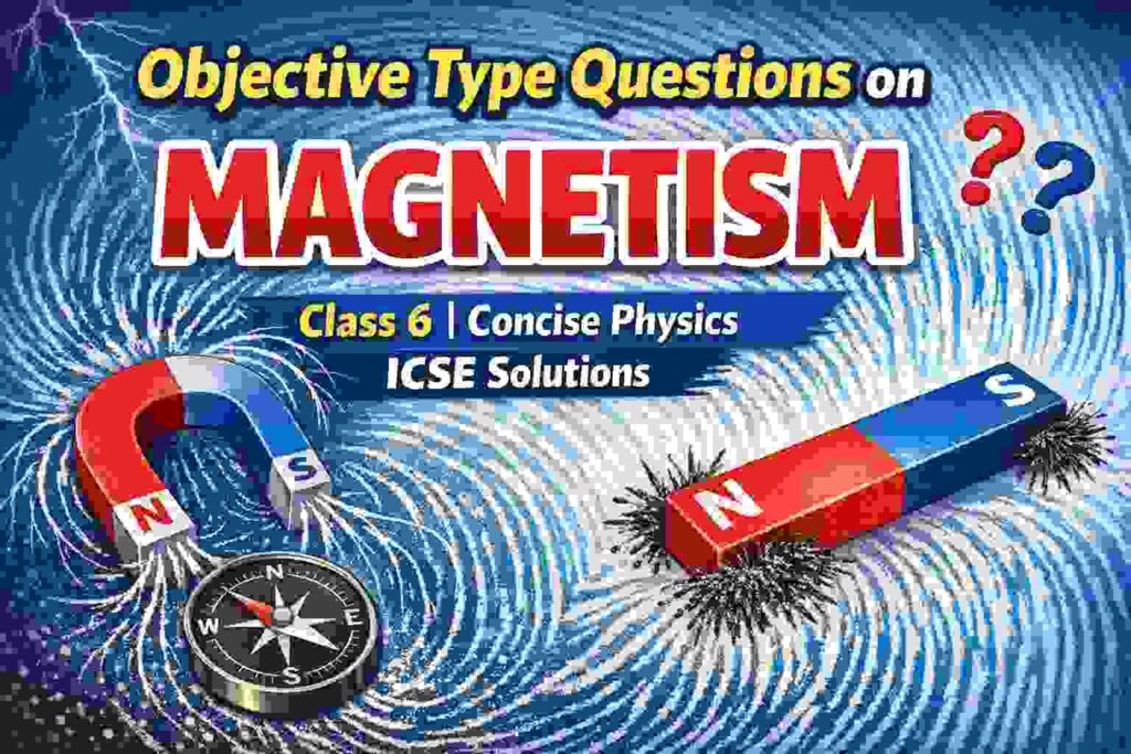 Objective Type Questions on Magnetism Class 6 Concise Physics ICSE ...
